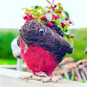 Robbie Robin Planter
