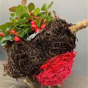 Mother Robin hanging planter