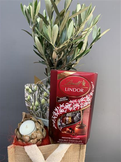 Olive Tree Gift Set